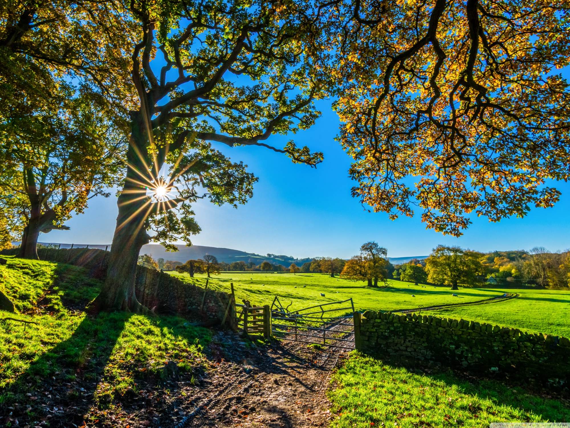 Solve England Countryside jigsaw puzzle online with 540 pieces