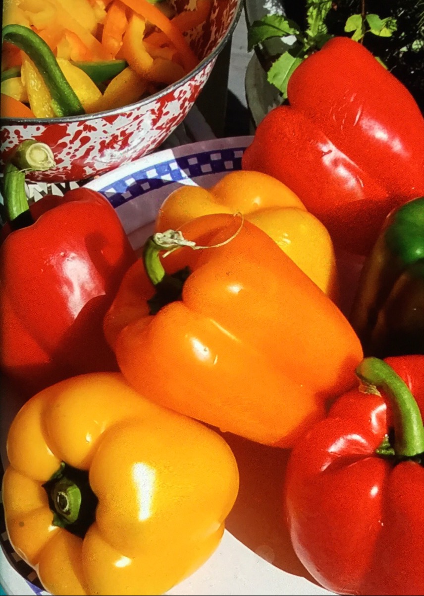 Jigsaw Puzzle | Summer peppers | 280 pieces | Jigidi