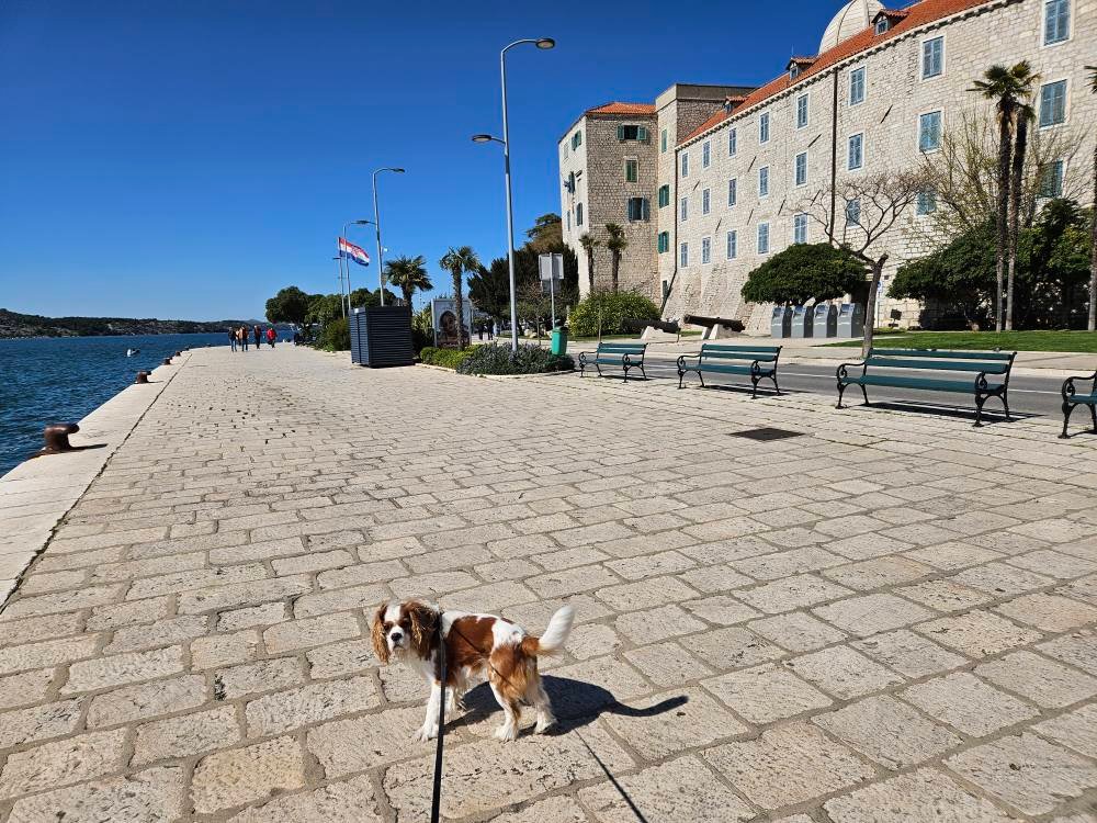 Solve Sibenik jigsaw puzzle online with 88 pieces