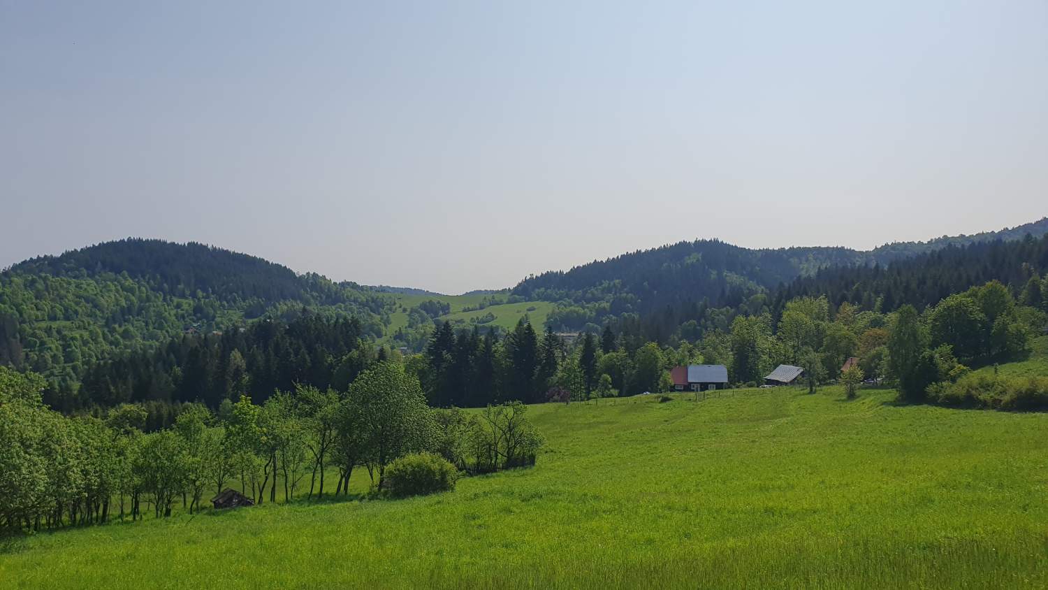 Solve Jaro - Spring jigsaw puzzle online with 60 pieces