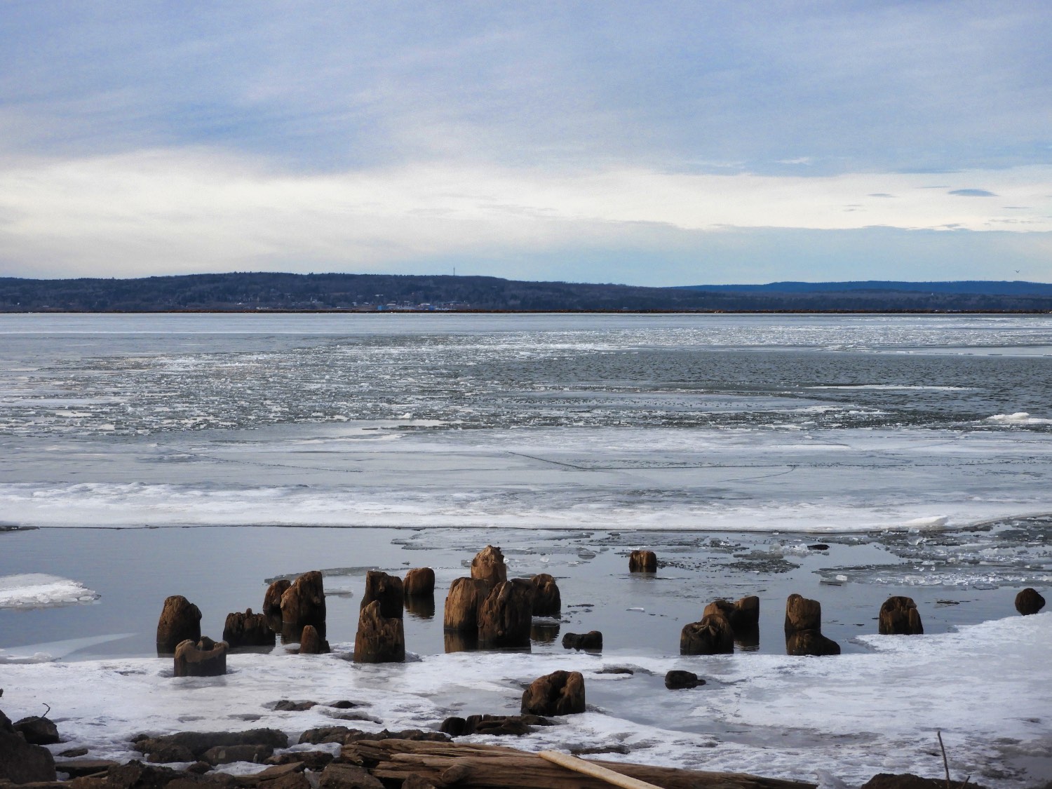 Solve Old doc remains and mostly frozen bay jigsaw puzzle online with ...