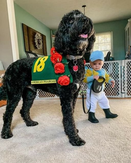 Solve The Winners! jigsaw puzzle online with 63 pieces