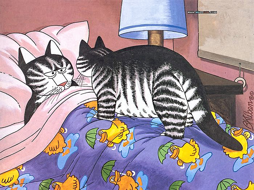 Solve the cat dreams series by B Kliban jigsaw puzzle online with 108 ...