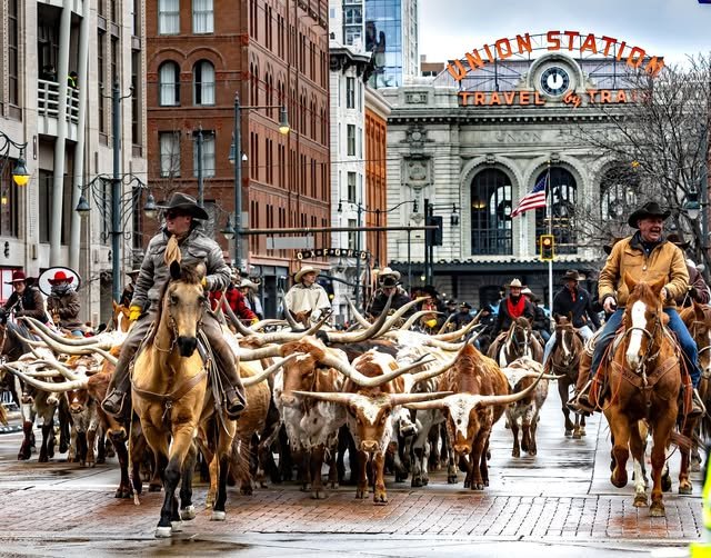 Jigsaw Puzzle | 35 pieces | ANNUAL NATIONAL WESTERN STOCK SHOW & RODEO ...