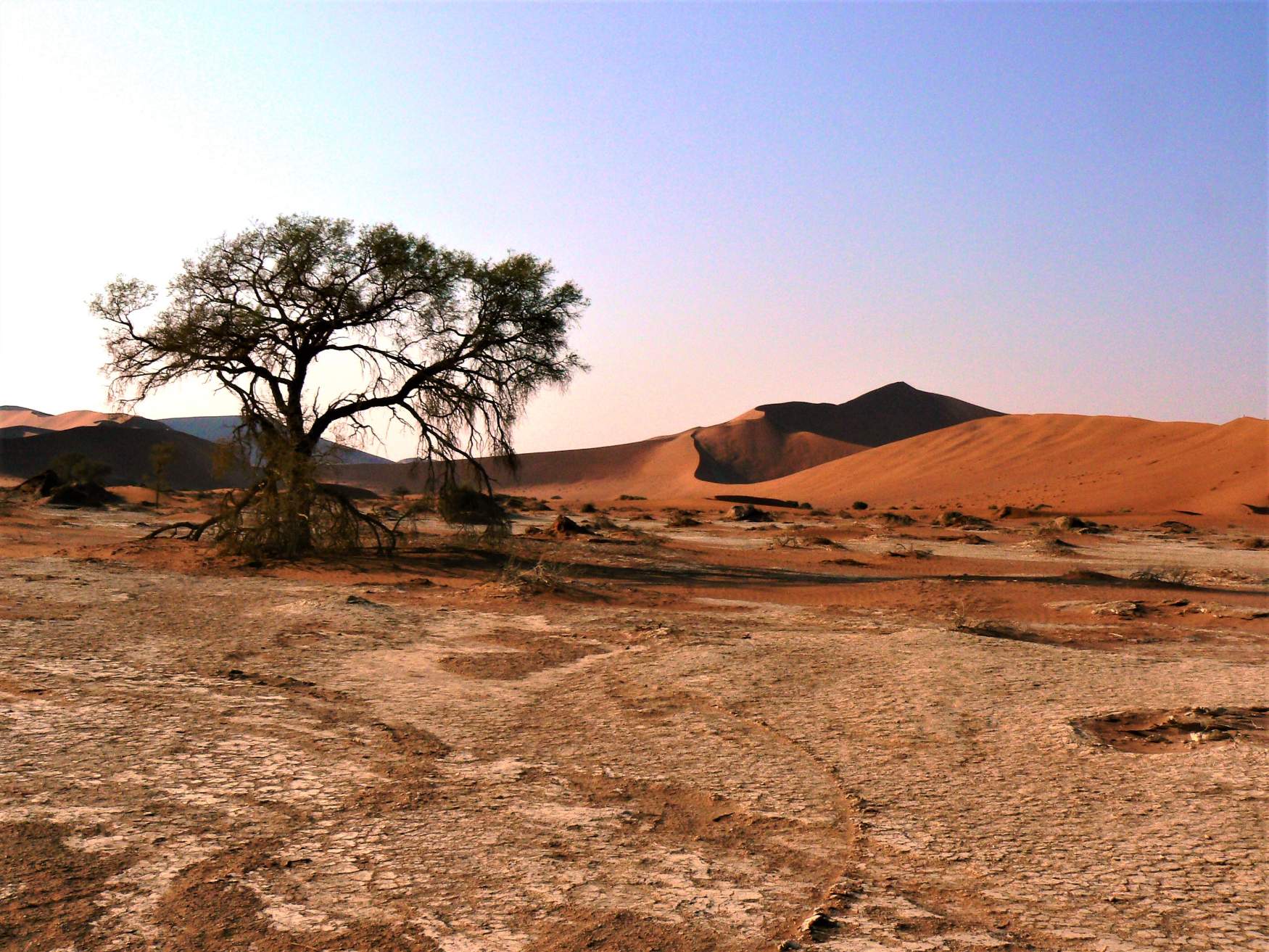 Solve Desert in Namibia jigsaw puzzle online with 154 pieces