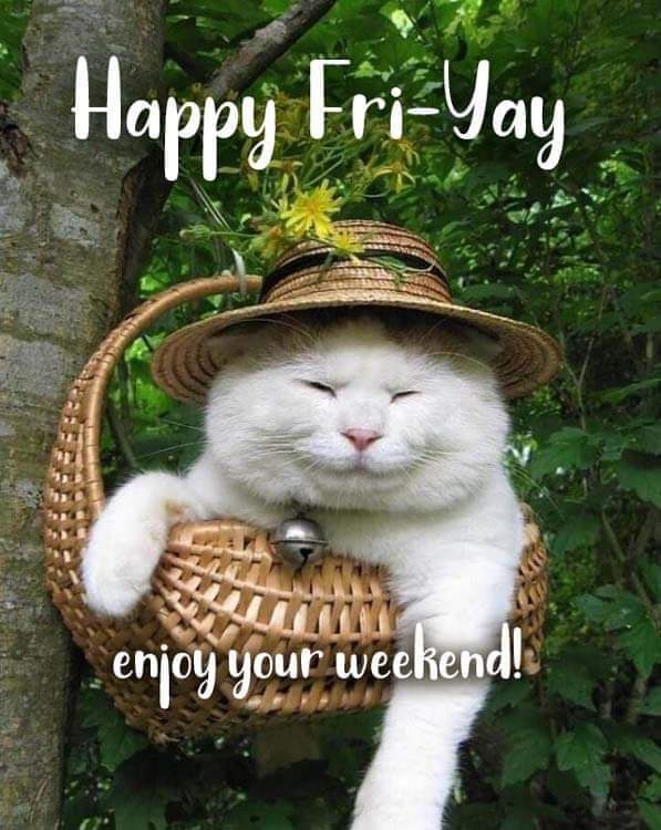 Solve Happy Friday jigsaw puzzle online with 63 pieces