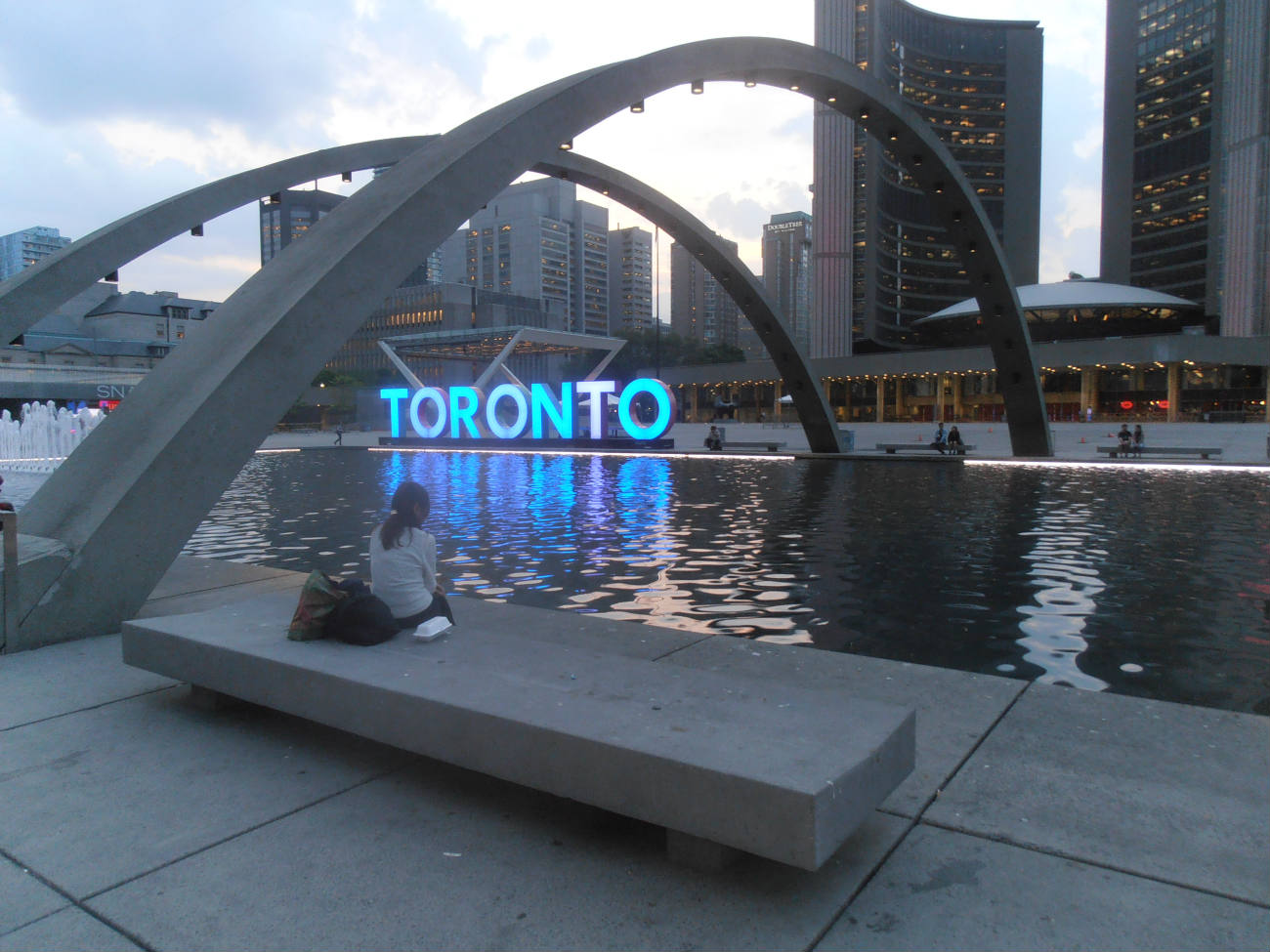 Solve Toronto jigsaw puzzle online with 130 pieces