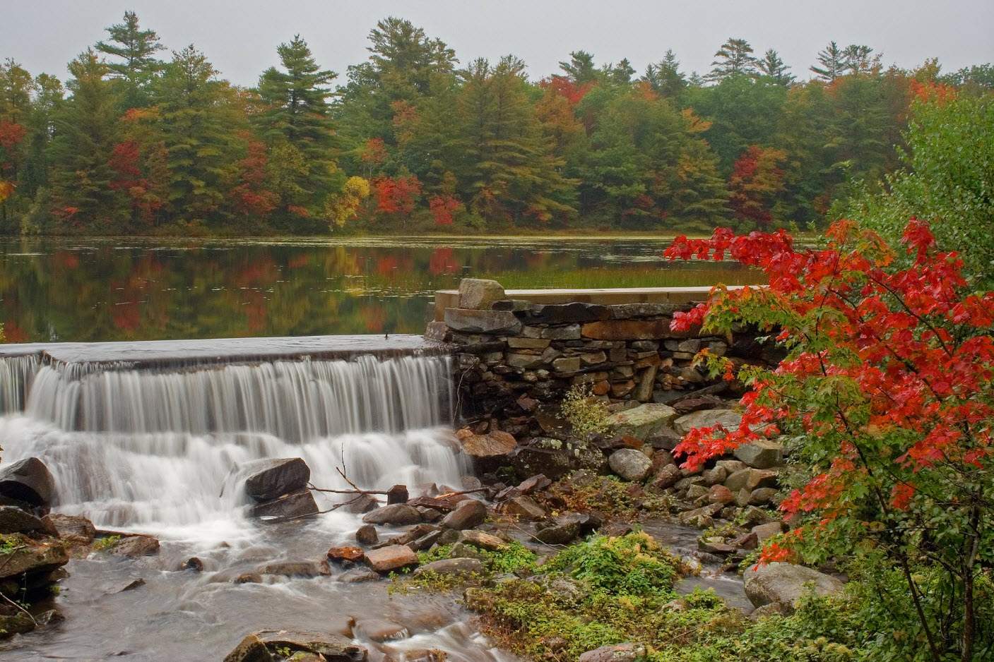 Jigsaw Puzzle | Pitcher Pond | 96 pieces | Jigidi