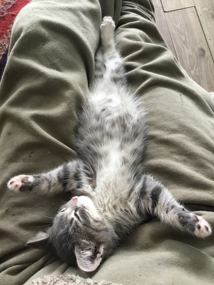 Solve Is this relaxed? jigsaw puzzle online with 12 pieces