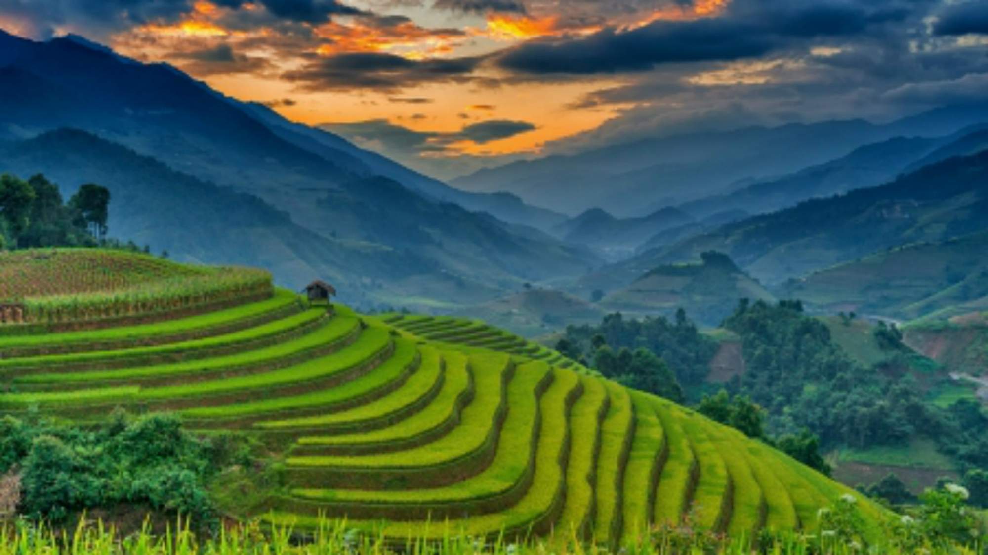Jigsaw Puzzle | 209 pieces | Terraced Rice Fields At Dusk - Sa Pa ...