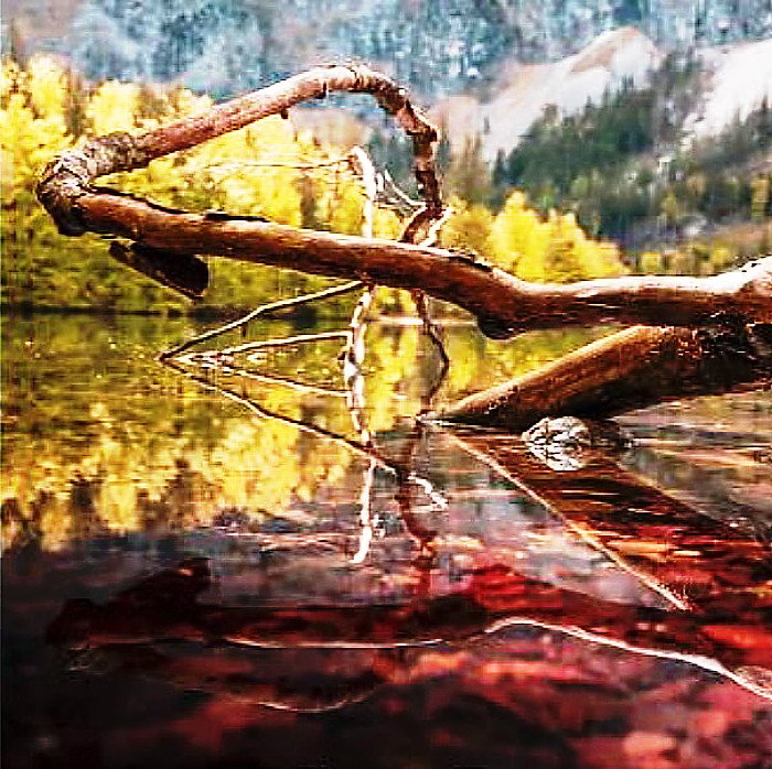 Solve Fallen jigsaw puzzle online with 25 pieces