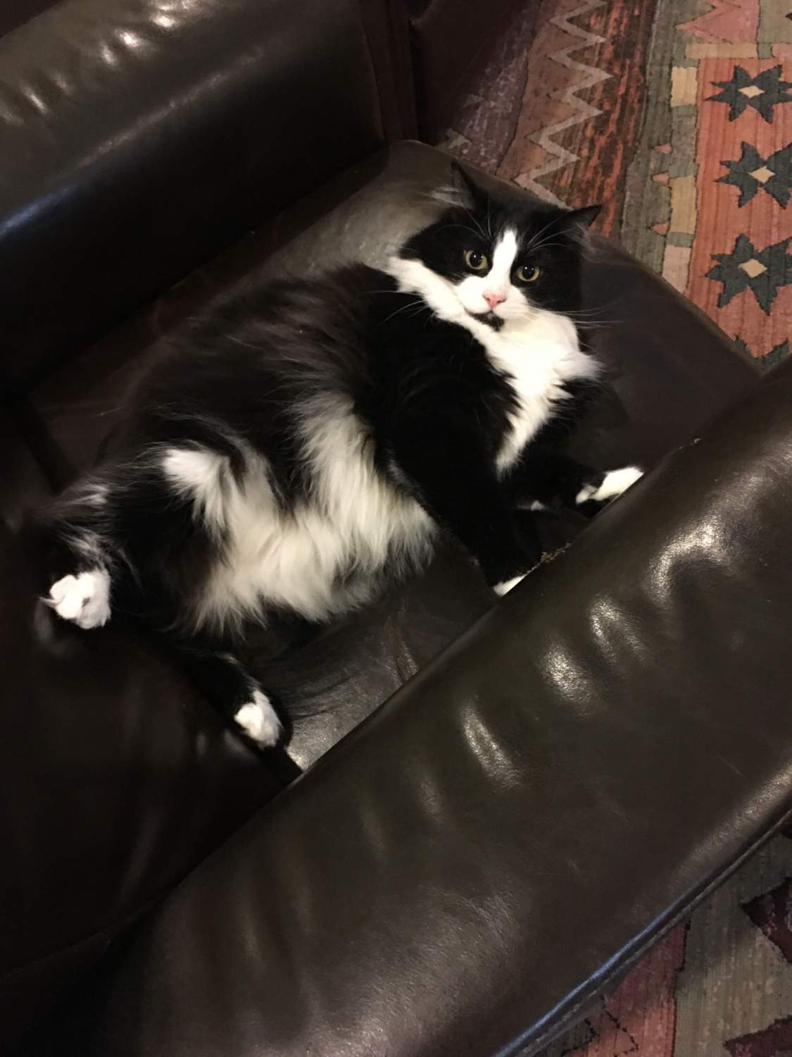 Solve Surprised to see mom home early! jigsaw puzzle online with 204 pieces