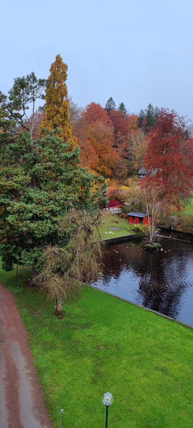 Solve Fra hagen på Thorskog slott jigsaw puzzle online with 84 pieces