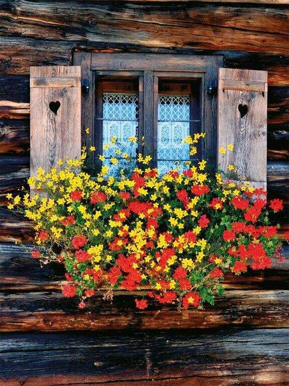 Solve BEAUTIFUL WINDOW jigsaw puzzle online with 63 pieces