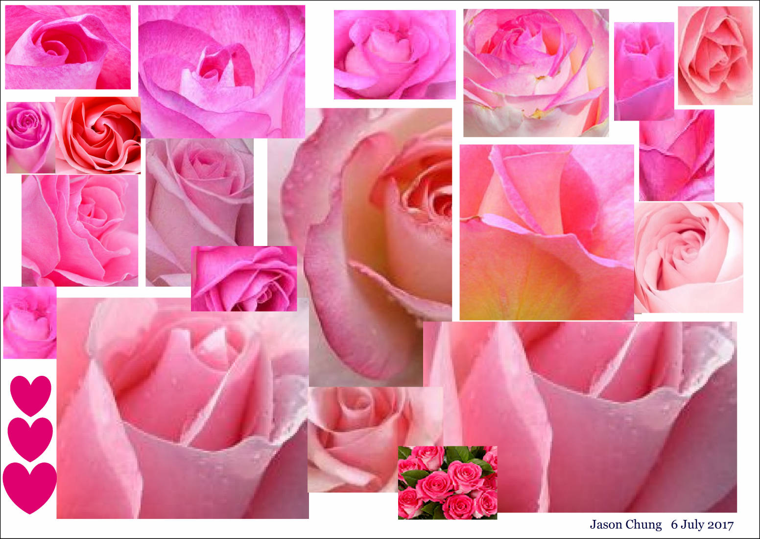 Solve Pink Roses Collage - especially for Thurman (Jul17P22 ...