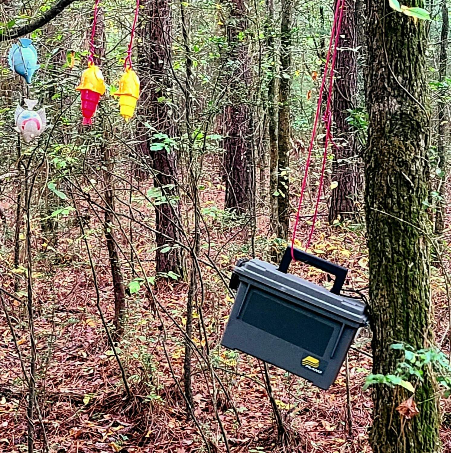 Solve Geocache Puzzle #6 jigsaw puzzle online with 441 pieces