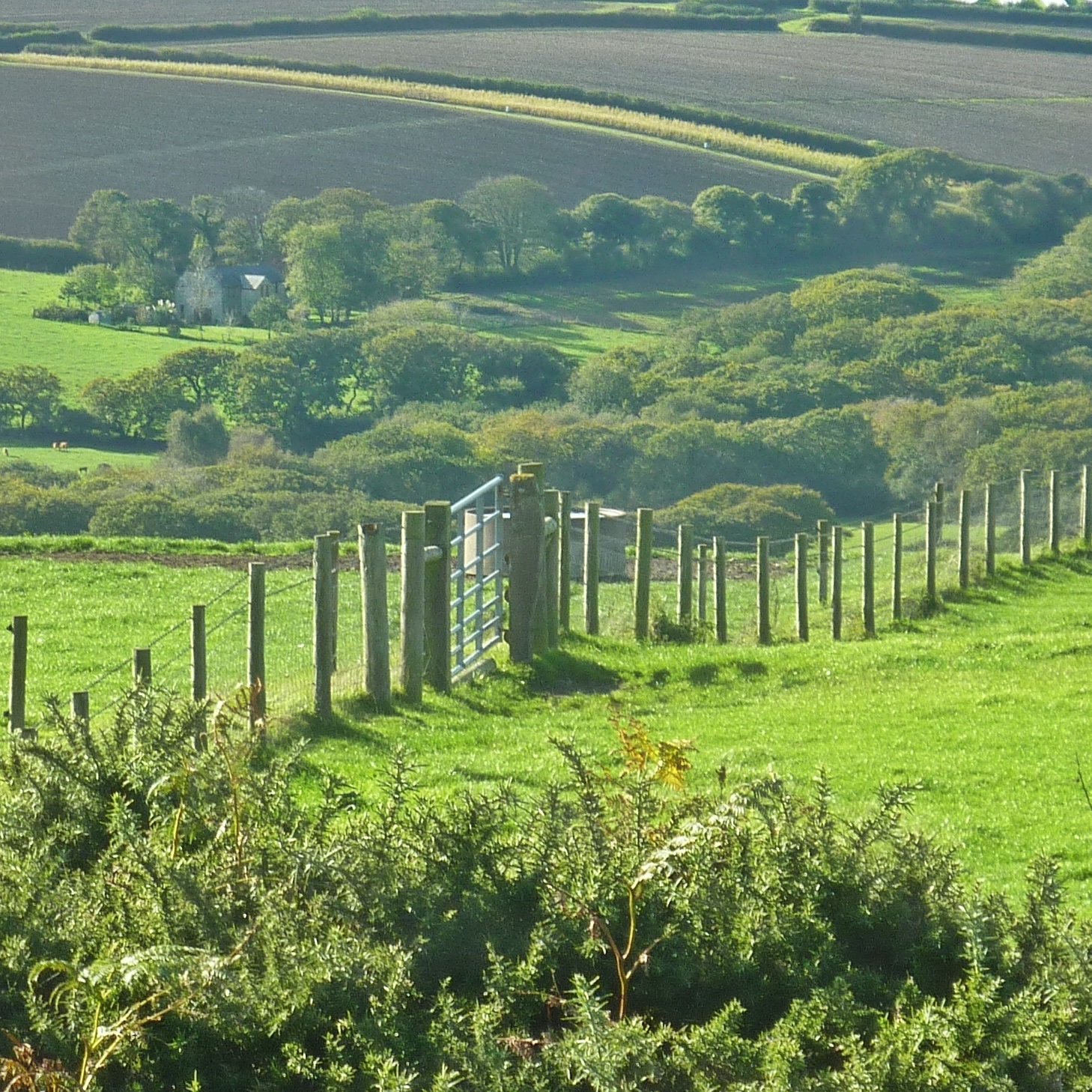 Solve Cornish View jigsaw puzzle online with 100 pieces