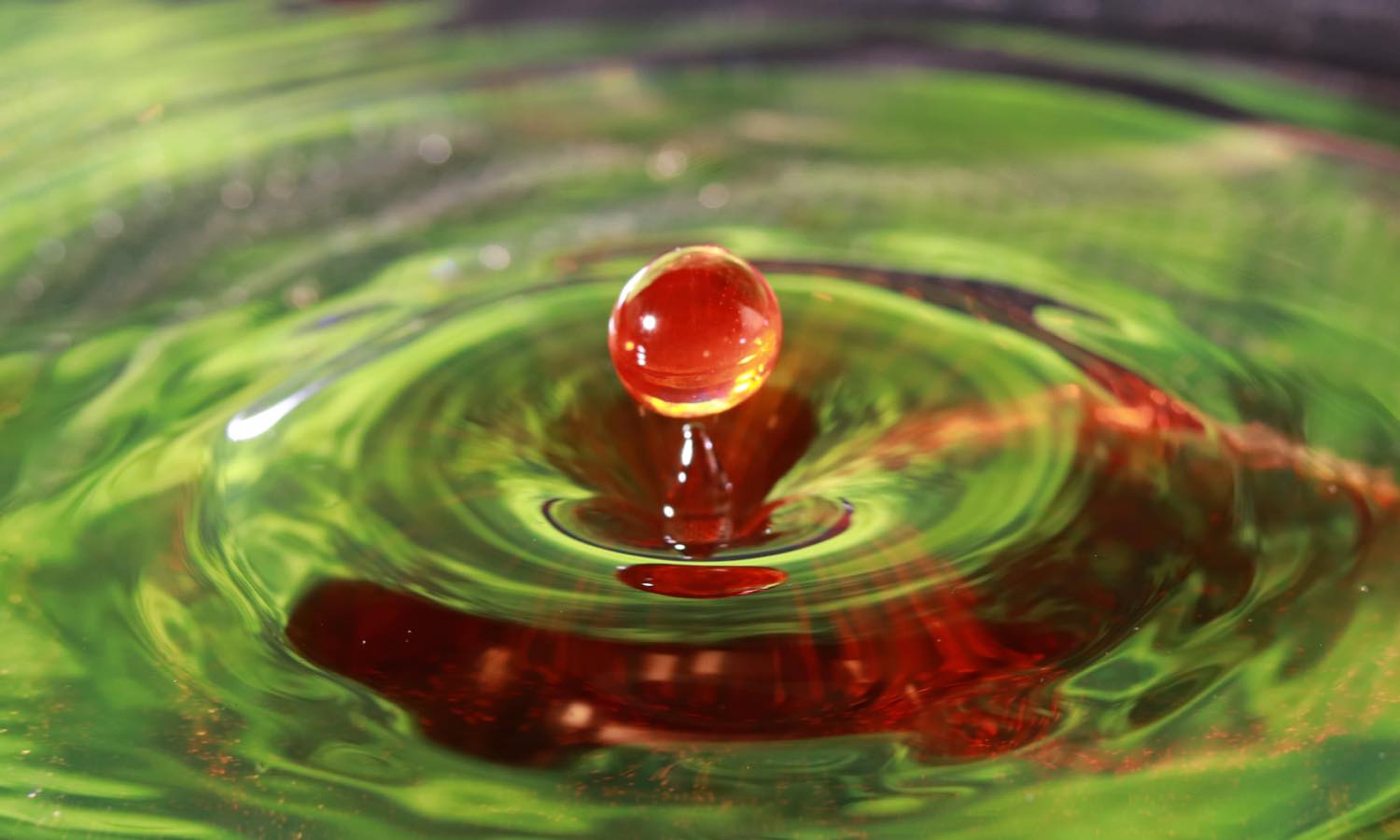 Solve Water Drop Photography jigsaw puzzle online with 77 pieces