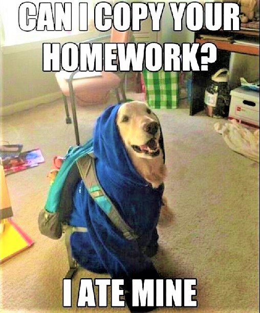 Solve Dog Ate my Homework jigsaw puzzle online with 12 pieces