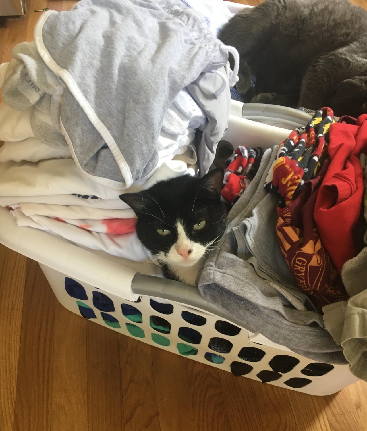 Solve Laundry helper jigsaw puzzle online with 72 pieces