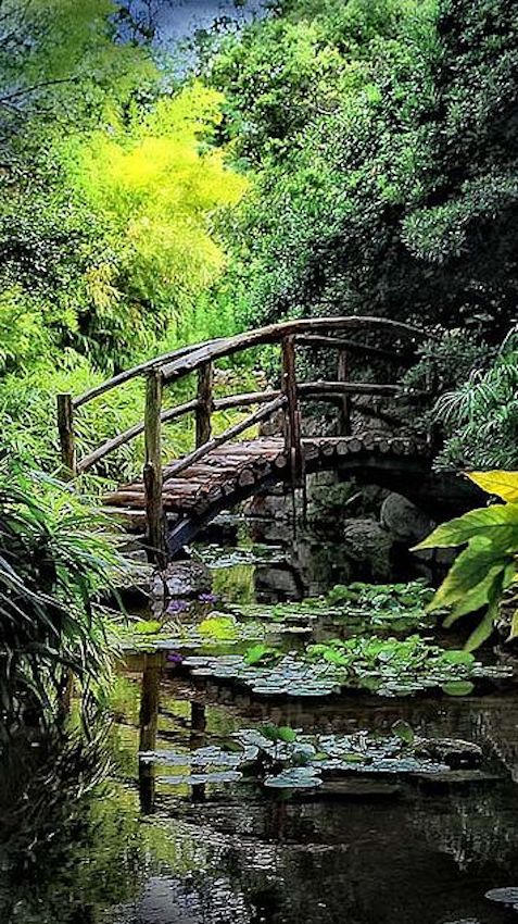 Solve Isamu Taniguchi Japanese Garden's Togetsu-kyo Bridge at Zilker ...