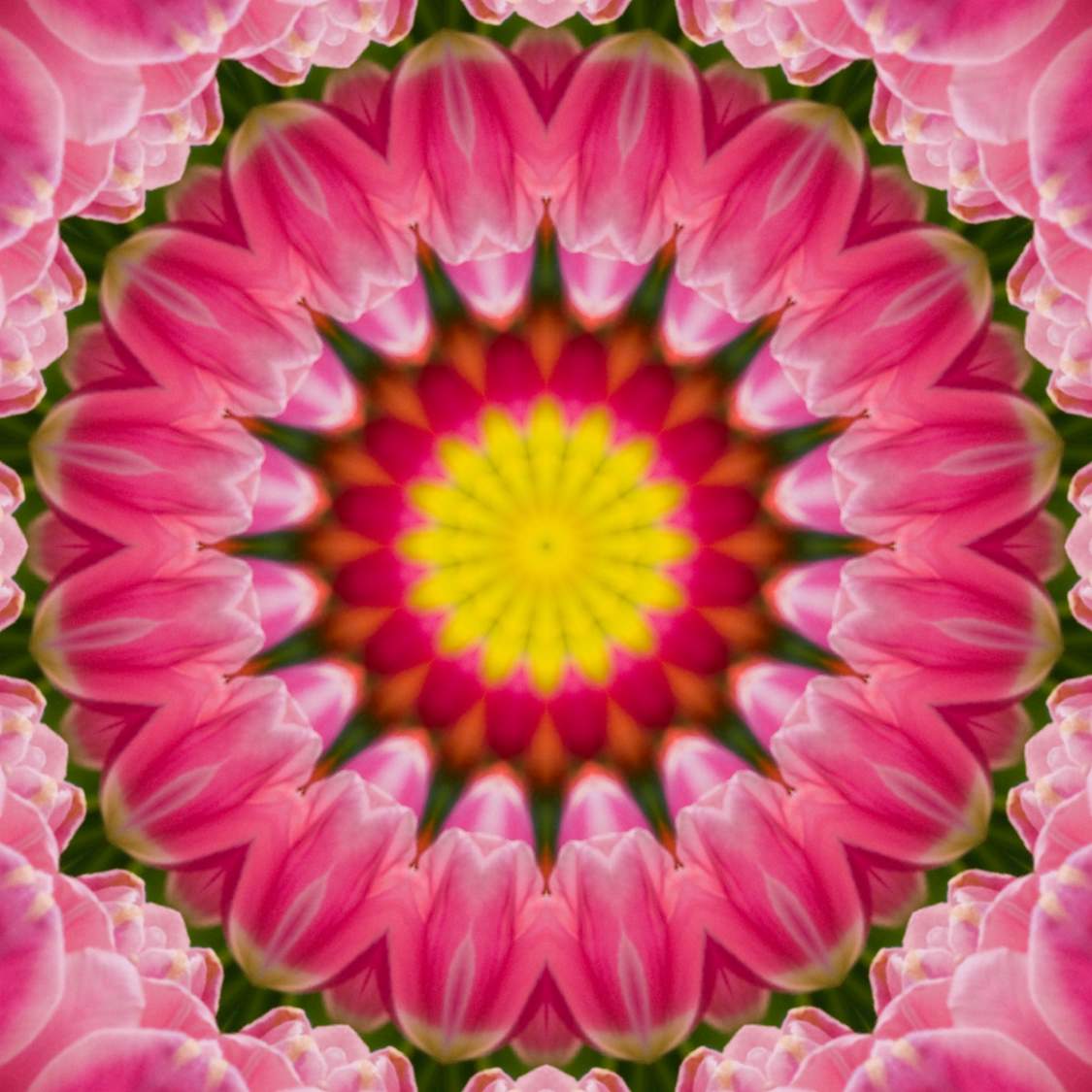 Solve 605 pink small jigsaw puzzle online with 36 pieces