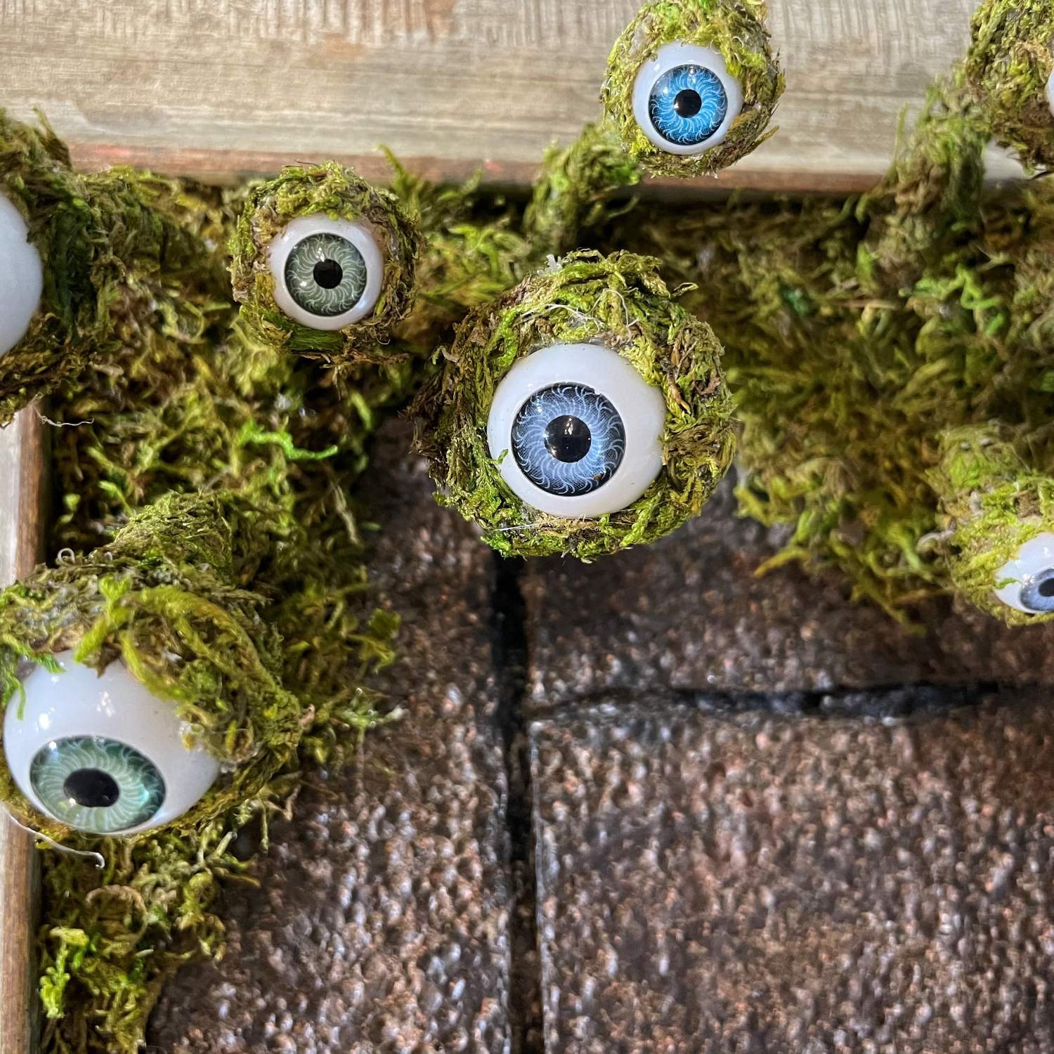 Jigsaw Puzzle | Eye plant | 256 pieces | Jigidi