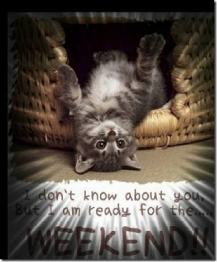 Solve Have a Nice Weekend jigsaw puzzle online with 30 pieces