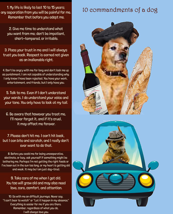 Solve ten commandments of a dog jigsaw puzzle online with 42 pieces