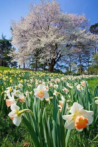 Solve FB_IMG_1465308223050 jigsaw puzzle online with 35 pieces