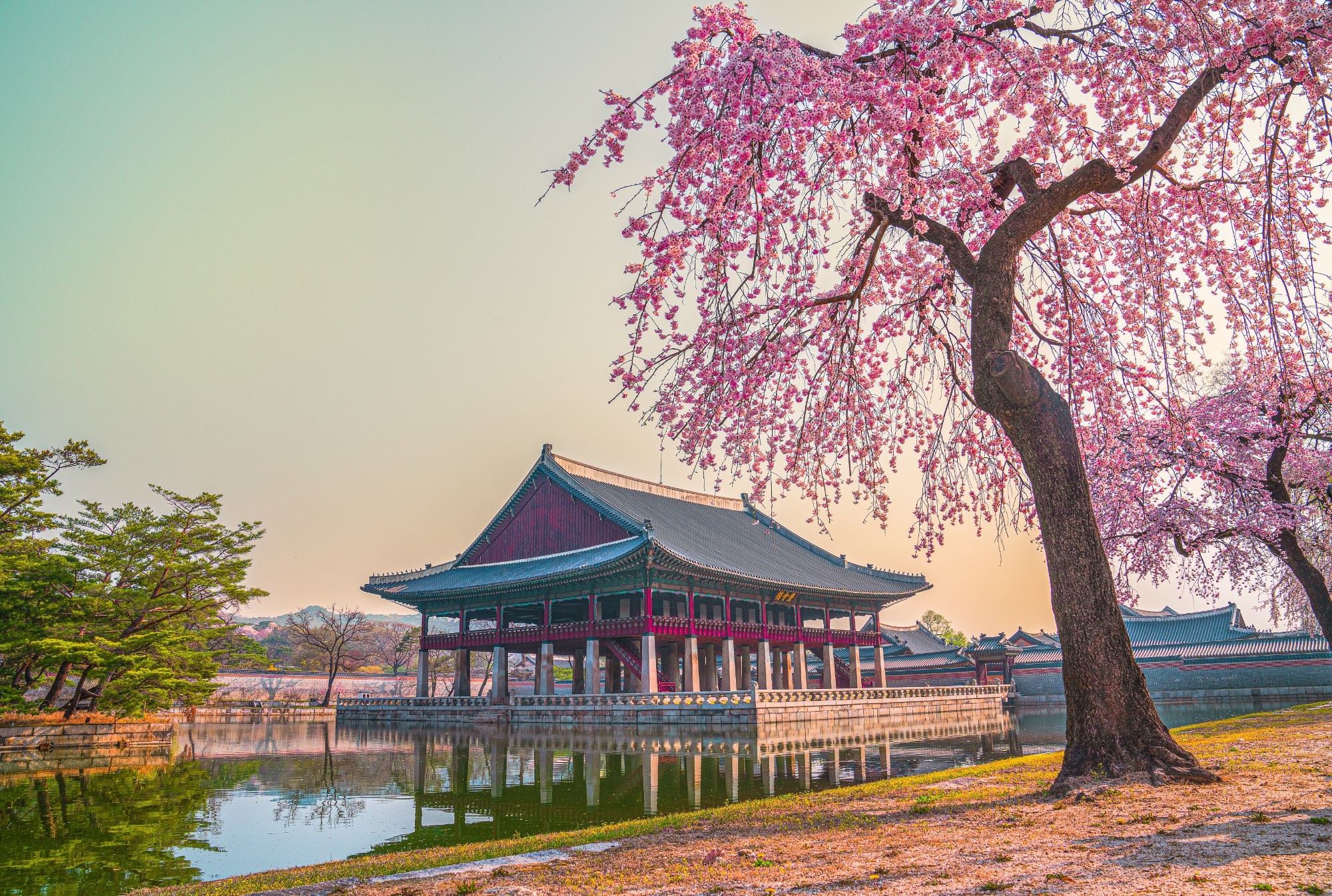 Solve Gyeongbokgung Palace, Seoul, South Korea jigsaw puzzle online ...