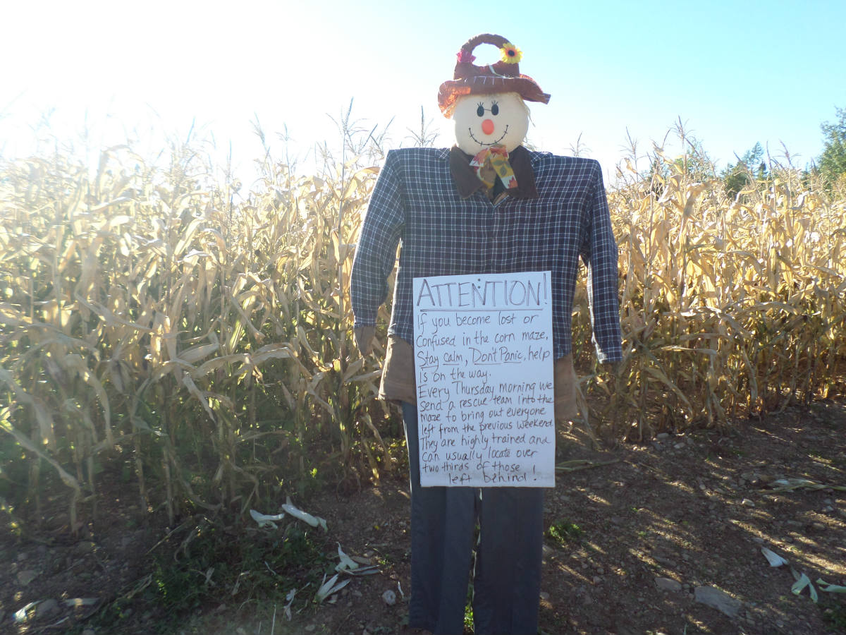 Solve Corn maze jigsaw puzzle online with 88 pieces
