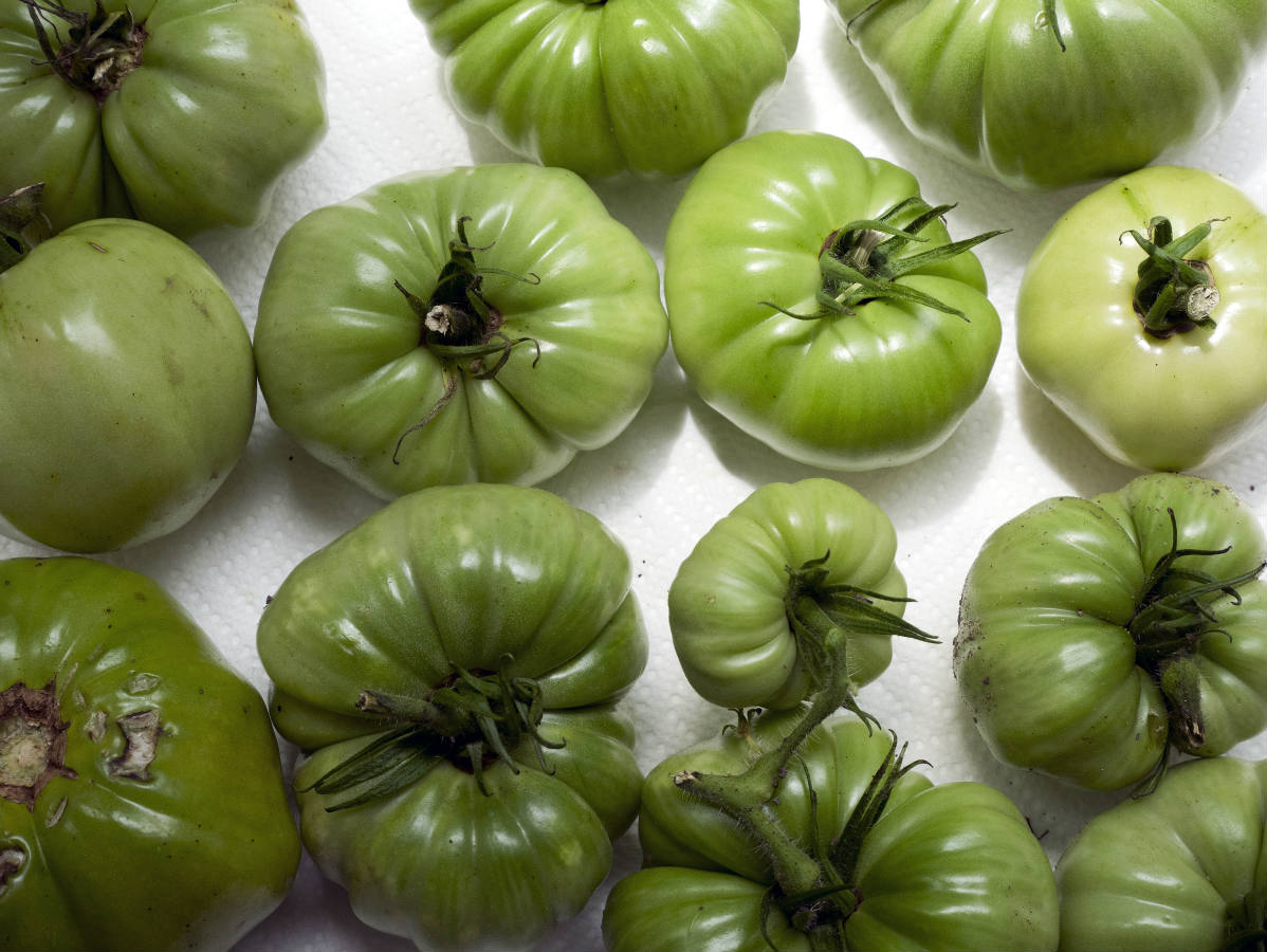 Solve Green Tomatoes jigsaw puzzle online with 80 pieces