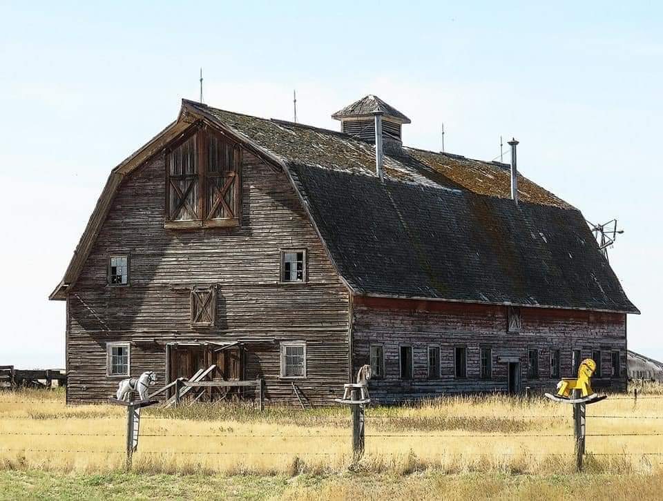 Solve Rocking Horse Ranch Charlotte Patterson jigsaw puzzle online with ...