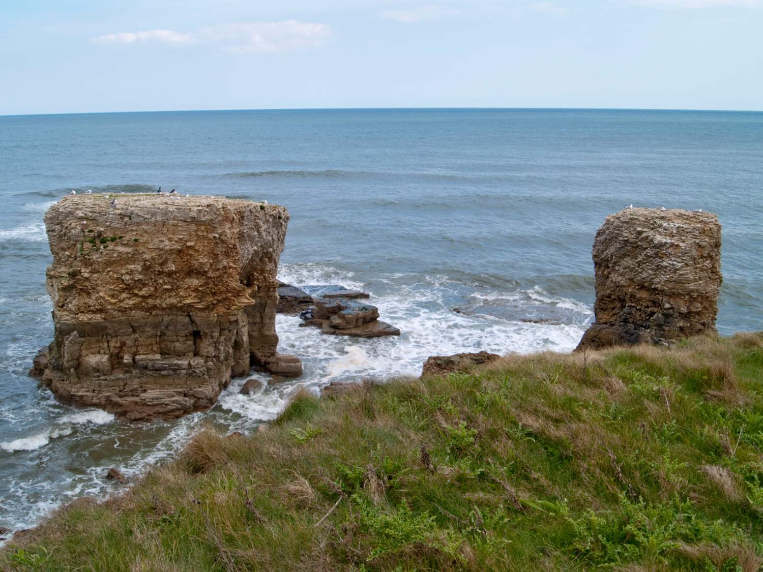Solve NT souter lighthouse 13-05-10 lizard point 01 jigsaw puzzle online with 108 pieces