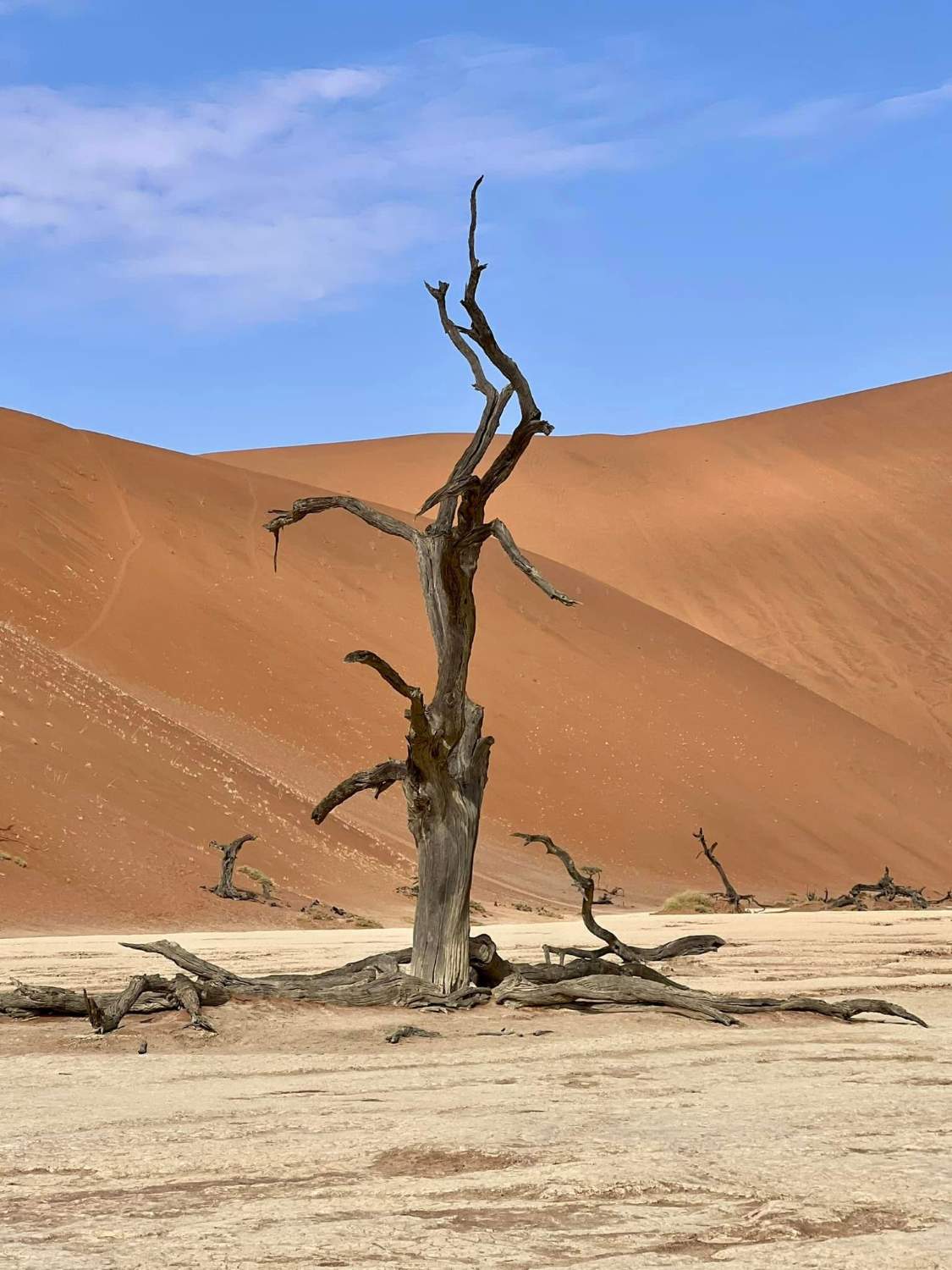 Solve Namibia jigsaw puzzle online with 130 pieces