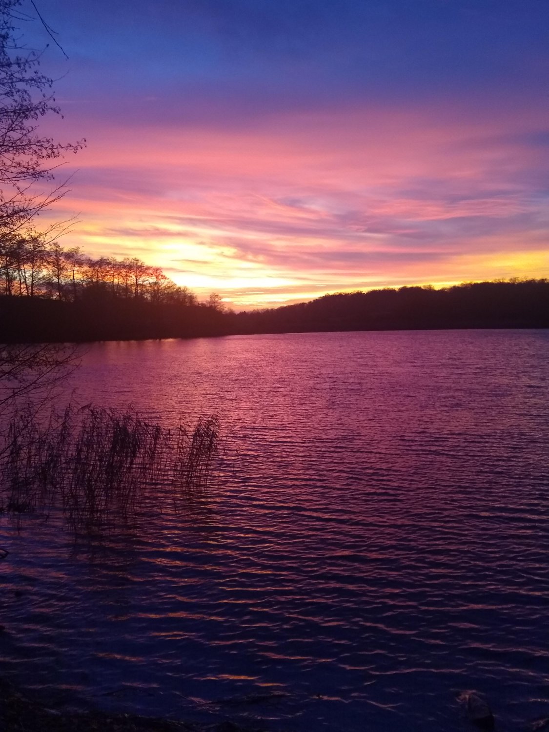 Solve Lake in Germany jigsaw puzzle online with 108 pieces