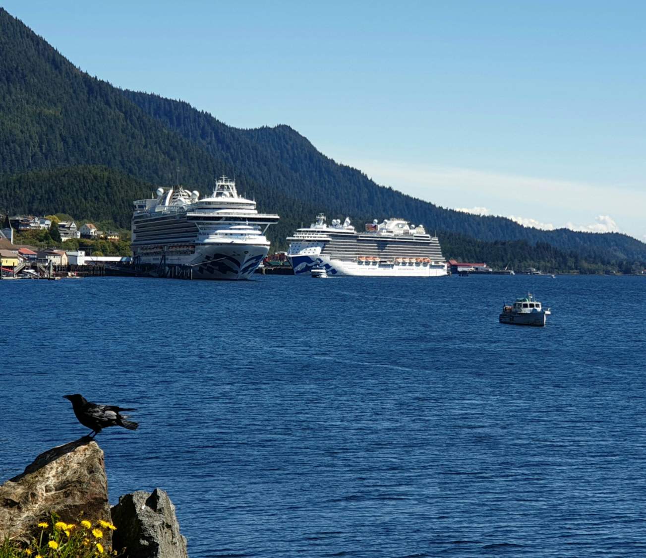 Jigsaw Puzzle | SUNSHINE IN KETCHIKAN, ALASKA | 42 pieces | Jigidi