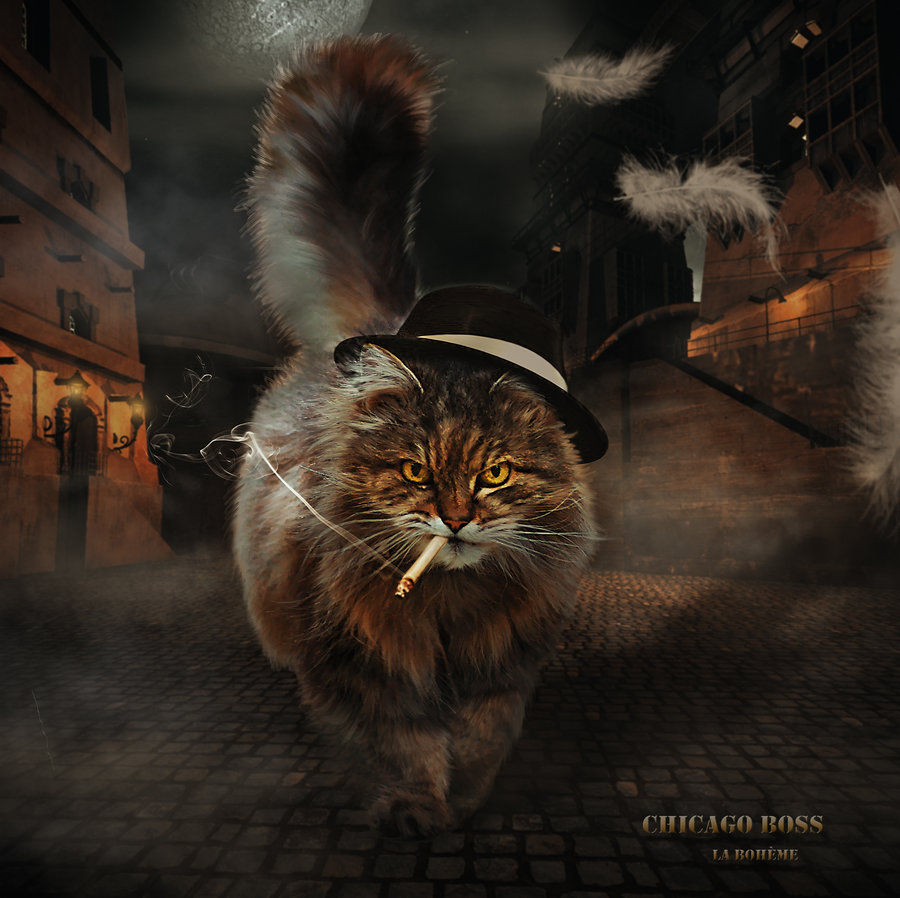 Solve chicago boss by la boheme jigsaw puzzle online with 144 pieces