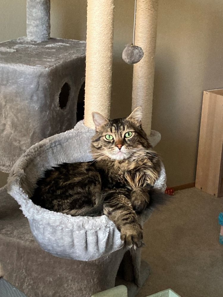 Solve Hello! Happy Weekend! 😊 jigsaw puzzle online with 48 pieces