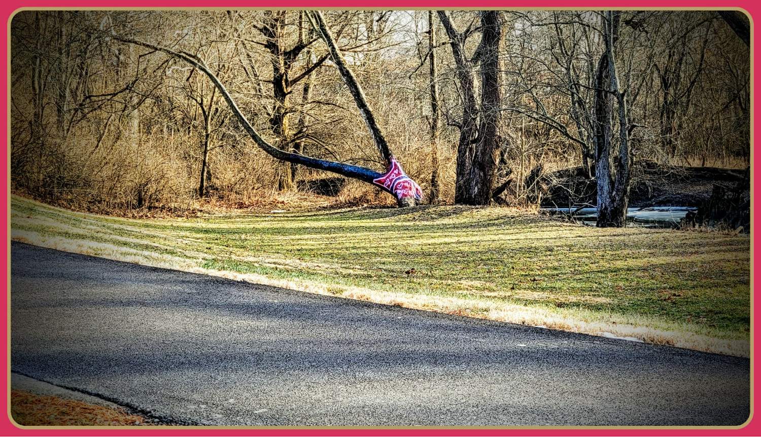 Solve Bikini Tree Fairview Park jigsaw puzzle online with 66 pieces