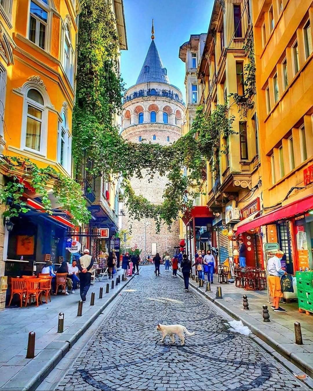 Solve Istanbul, Turkey jigsaw puzzle online with 99 pieces