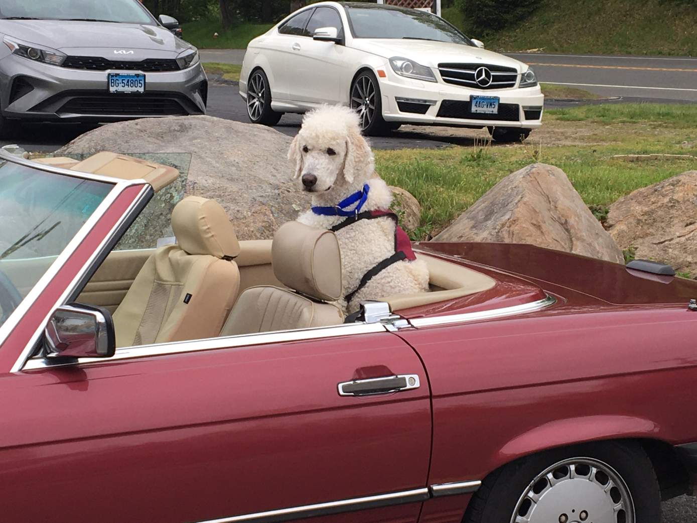 Solve Utah jigsaw puzzle online with 35 pieces