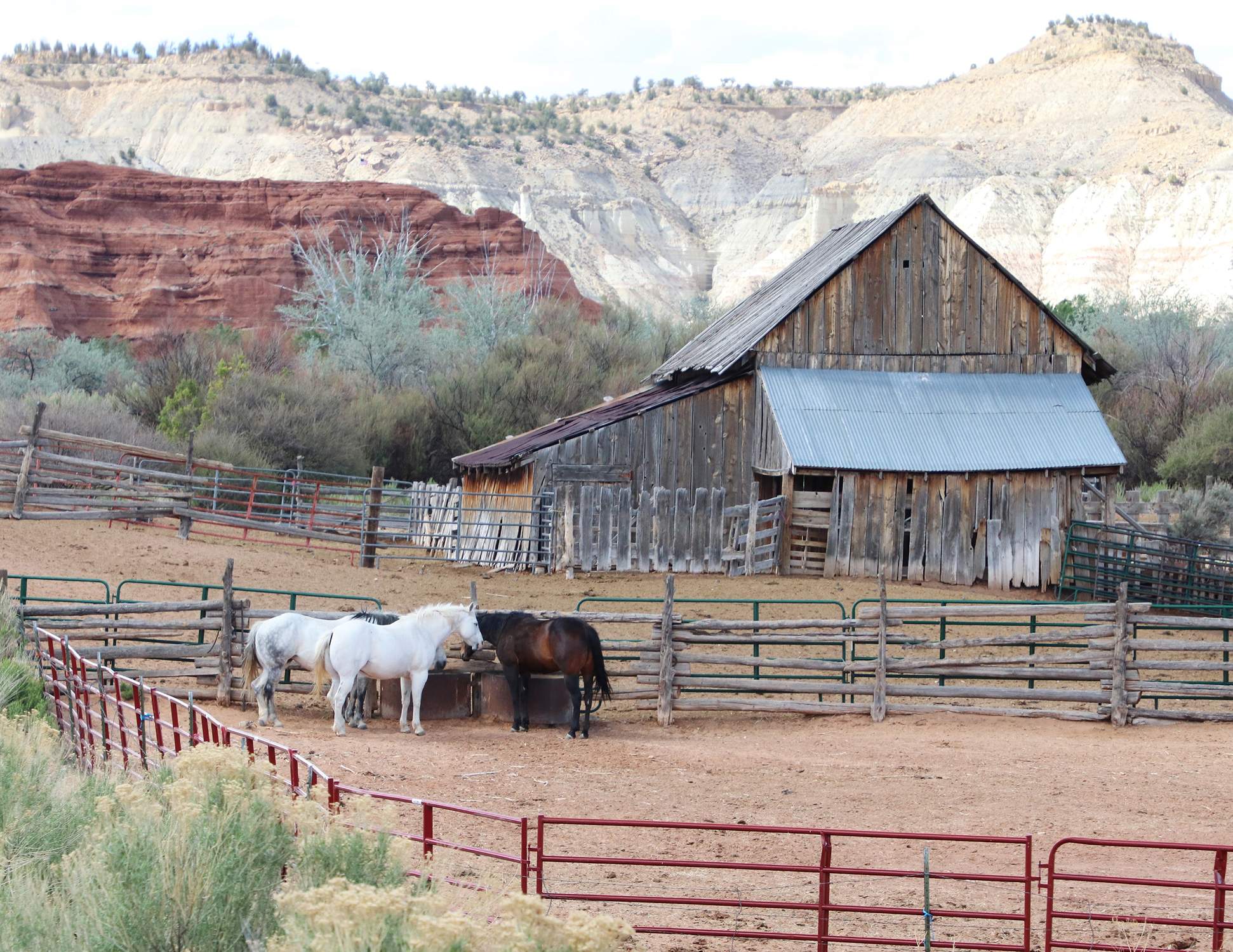 Solve Southwest Utah Ranch jigsaw puzzle online with 192 pieces