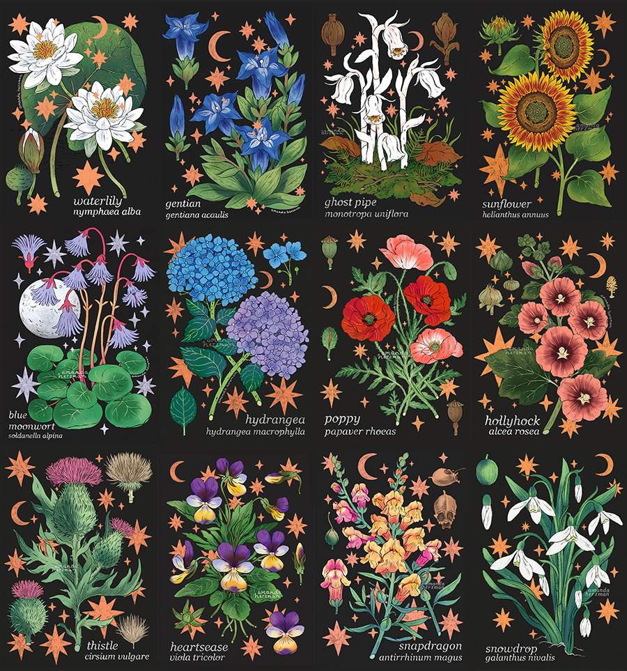 Solve Herbology jigsaw puzzle online with 132 pieces