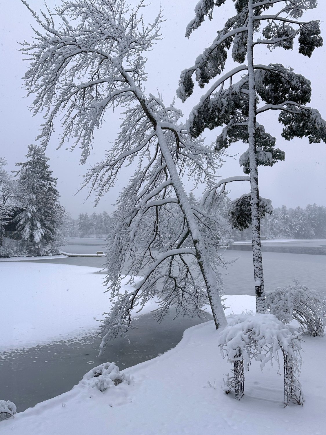 Solve Looking out towards the lake, cove on the left. jigsaw puzzle online with 63 pieces