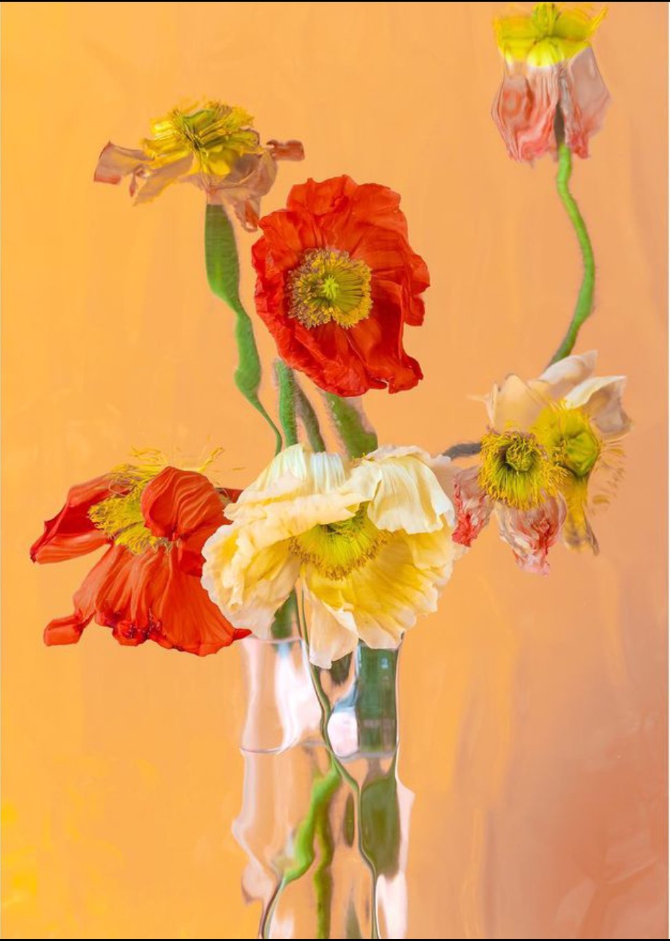 Solve Anna Kondo jigsaw puzzle online with 252 pieces