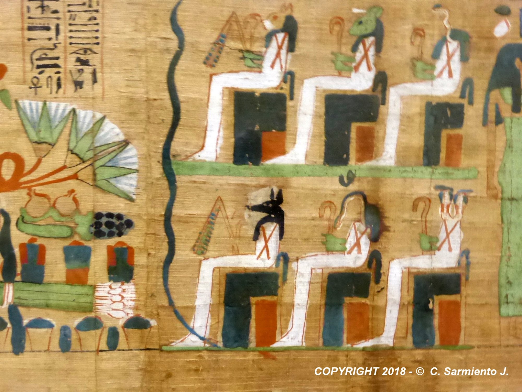 Solve EGYPT – Cairo – Egyptian Museum – Papyrus (Seen at the Museum ...