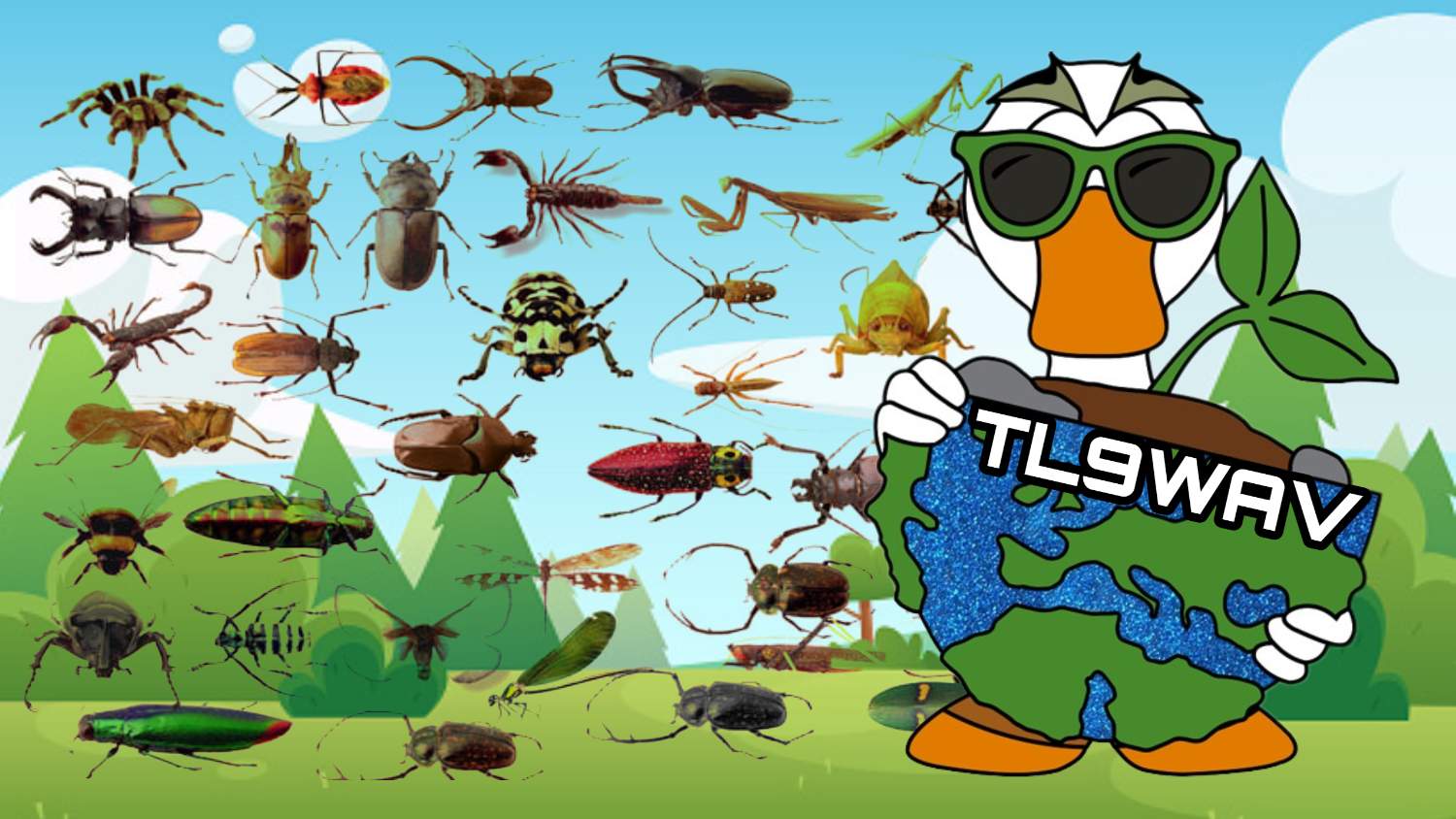 Solve #TLL - Bugs jigsaw puzzle online with 66 pieces
