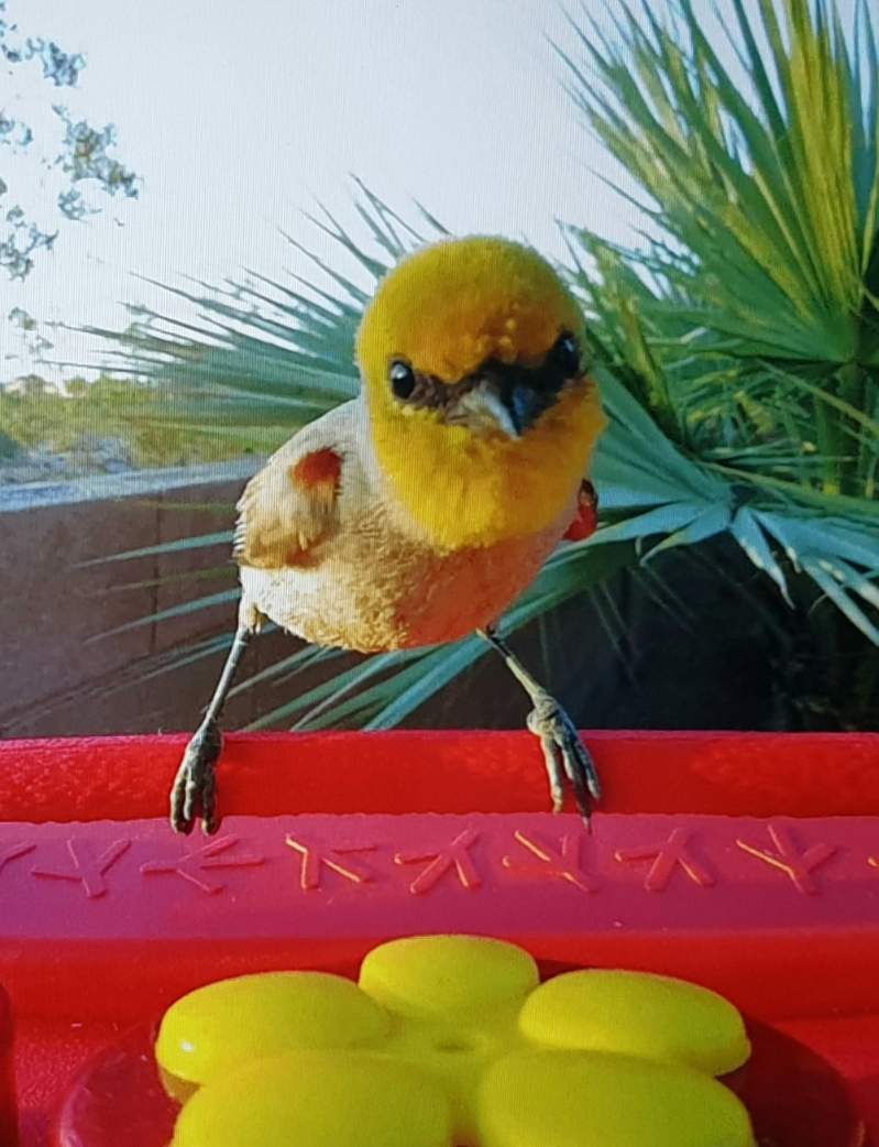 Solve These better not be eggs, pal! Come on and fight me! I double ...